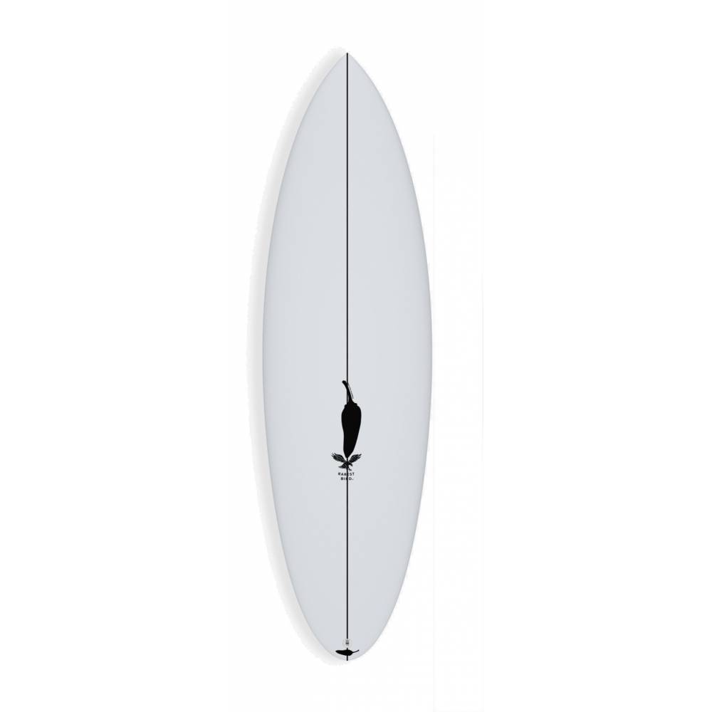 Rarest Bird Surfboard Reviews | Boardcave Australia