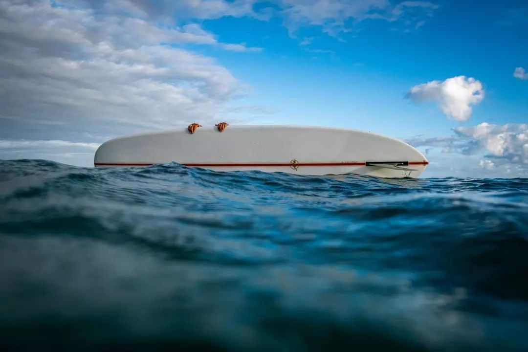 Ultimate Guide to Mini Mal Surfboards | Boardcave Australia